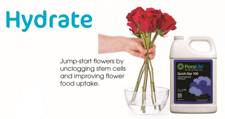 F80-03783 Floralife® Quick Dip 100 (1 Gallon Bottle) - Oasis Floral
